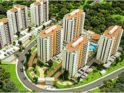 La compañía - Conaring